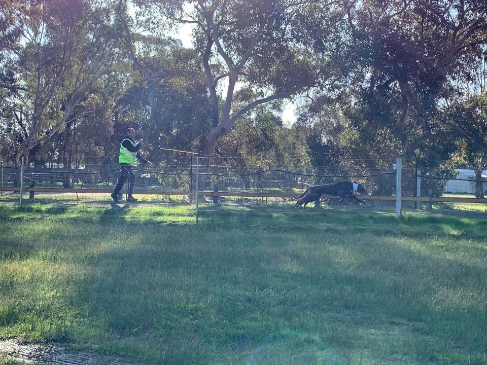 NCA Victoria – NATIONAL COURSING ASSOC. OF VIC.